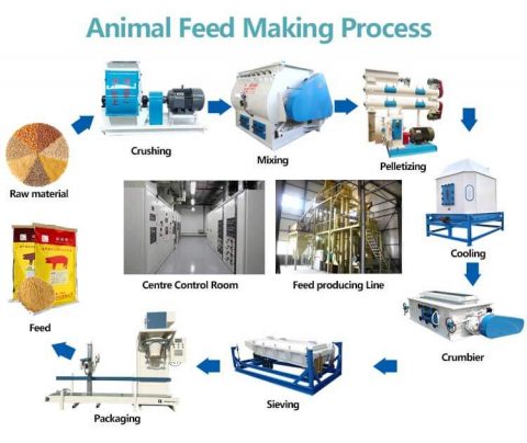 Animal Feed Pellet Production Line - AinuokMachinery.com