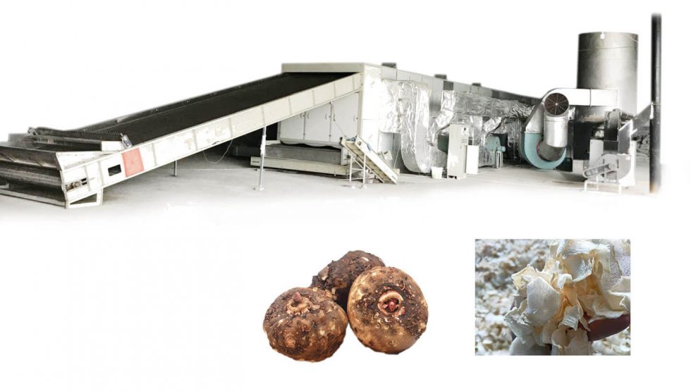 Konjac Drying Machine Production Line - AinuokMachinery.com